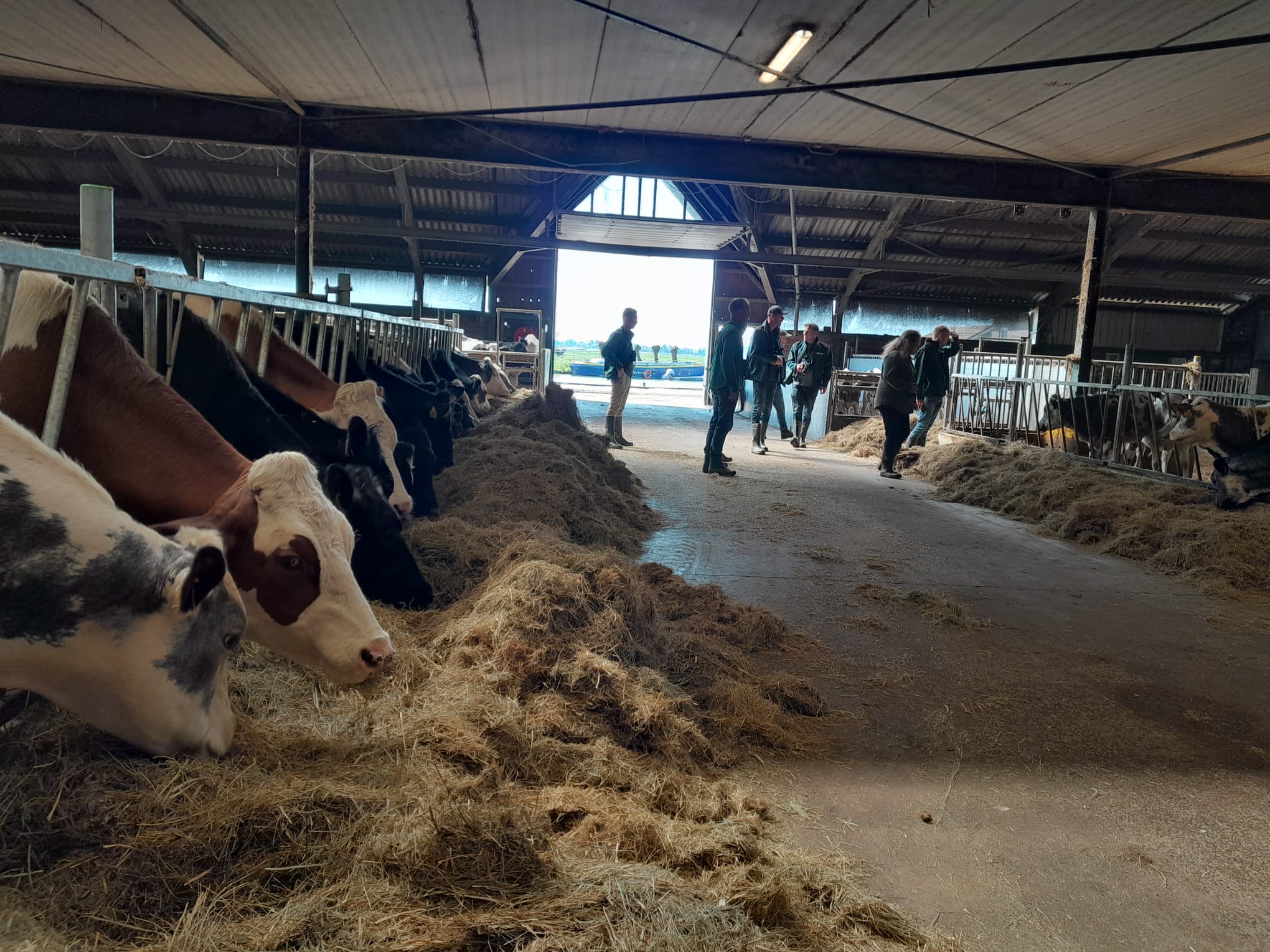 Alex Datema (@AlexDatema) / Twitter