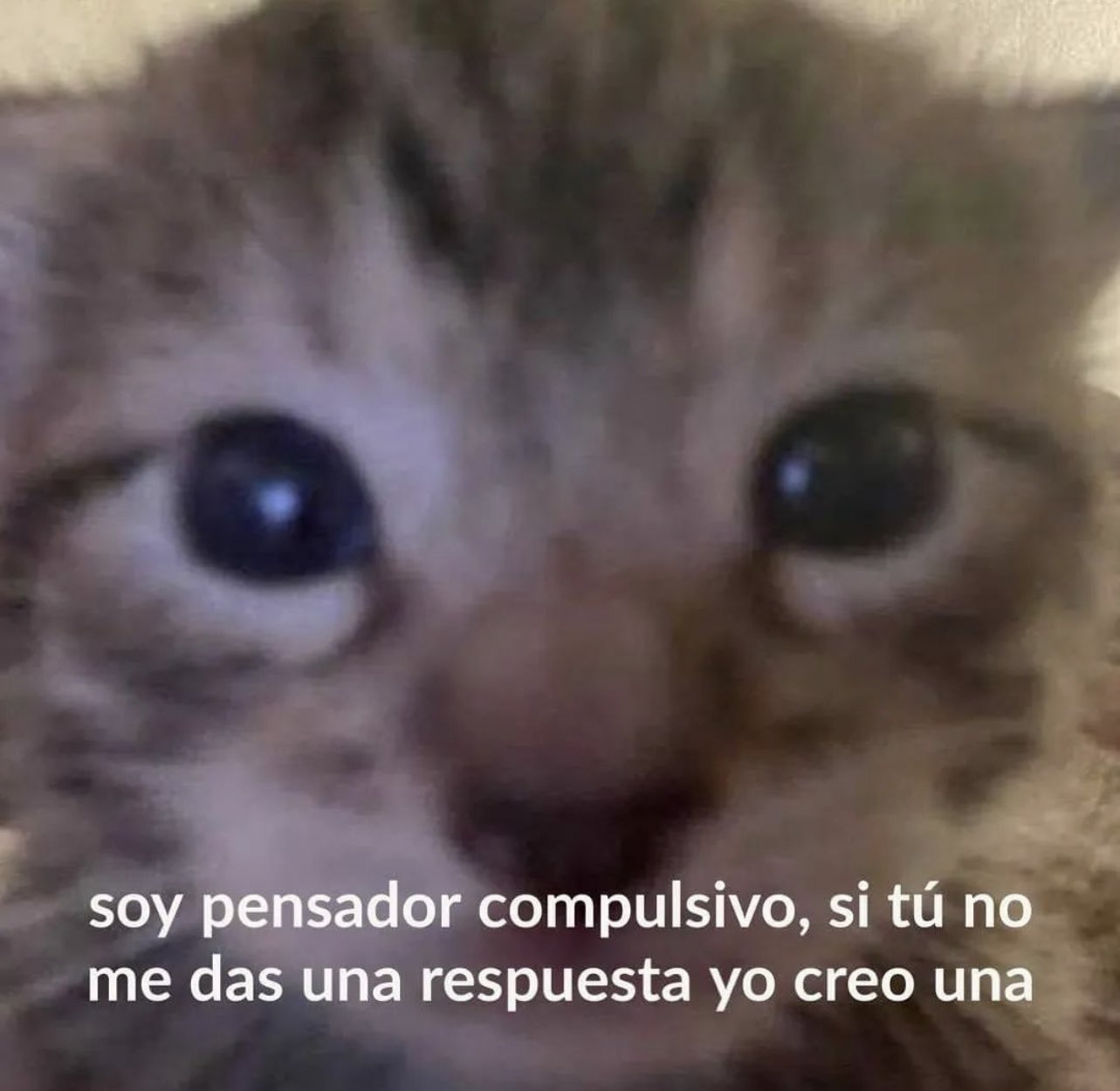 Si Te Creo Memes No Te Creo Meme | TikTok