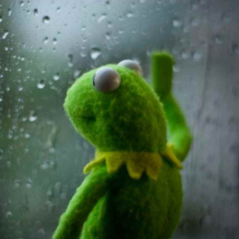 Kermit Looking Out The Rainy Window
