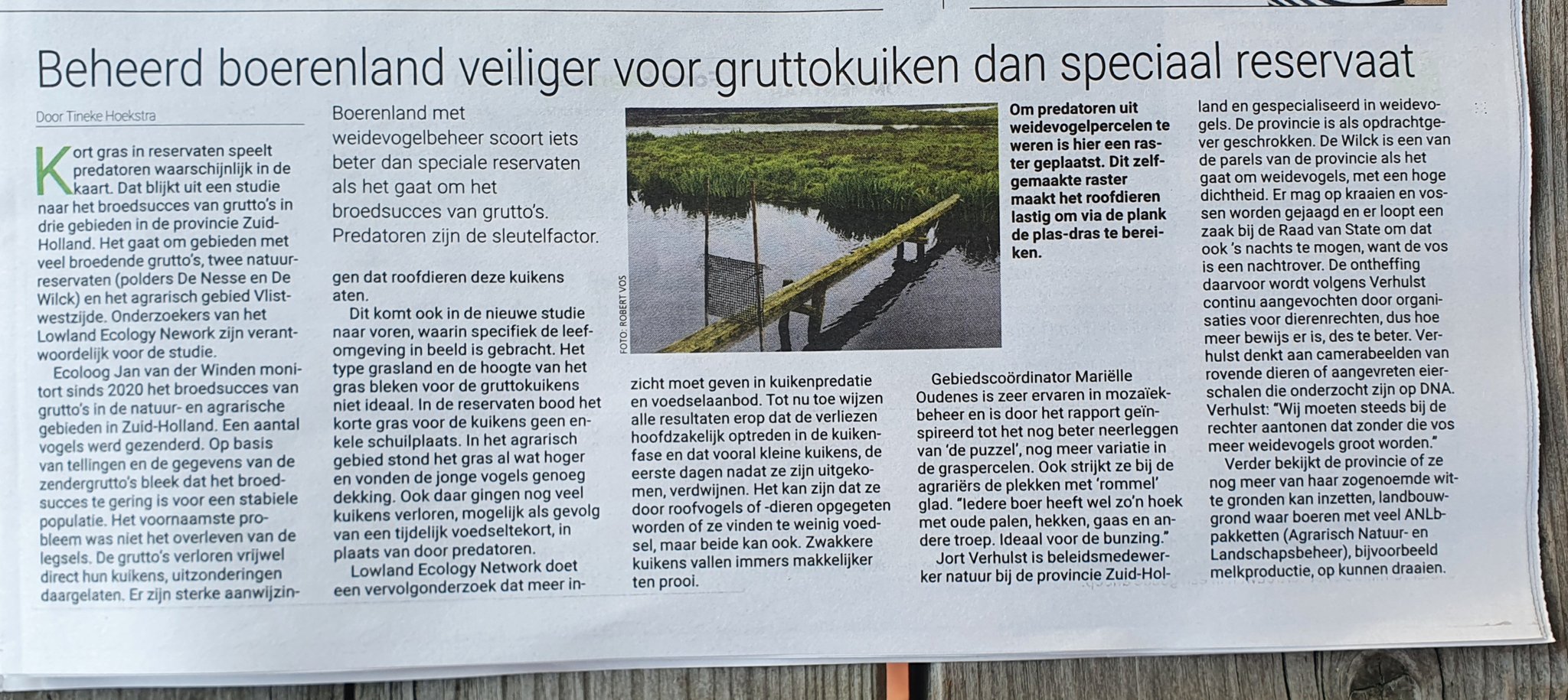 Alex Datema (@AlexDatema) / Twitter