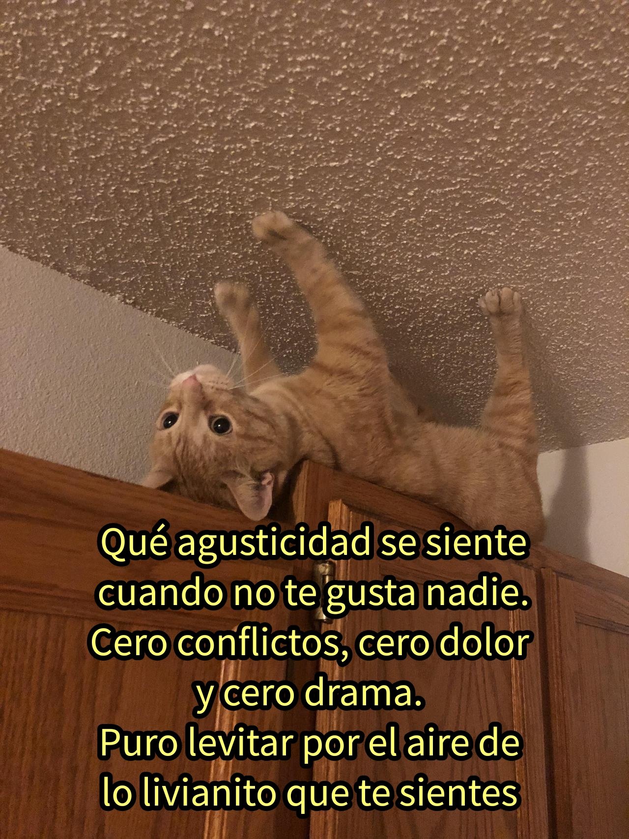 Memes De Levitar