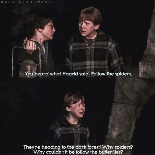 Harry Potter World on Twitter: "24 May 1993: "Why spiders? Why couldn't it be 'follow the ...