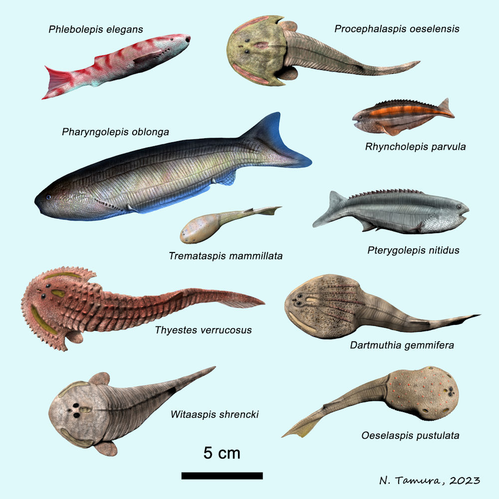 Ordovician Fish