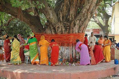 Do you know? 🌺There are many plants and trees that are very sacred in ...