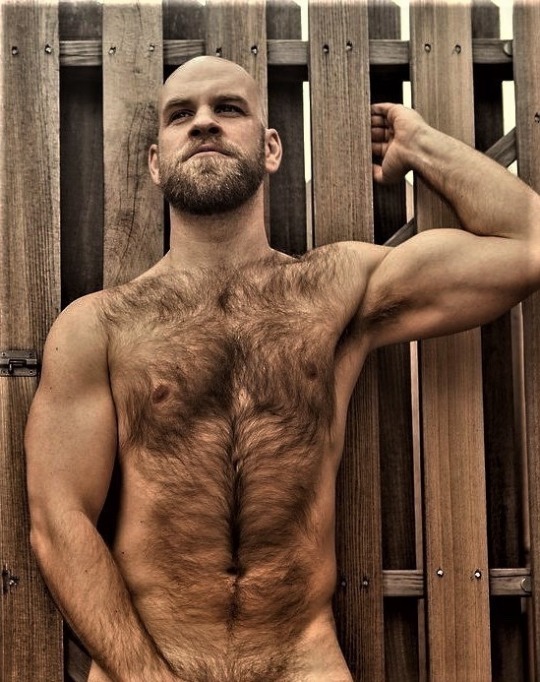 Macho Male Gallery on Twitter: