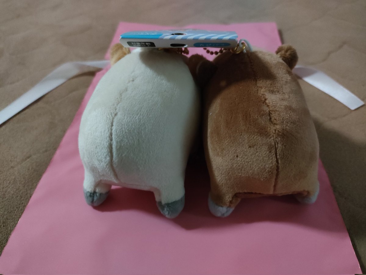 kapikapi on Twitter: "長女から一日遅れで母の日のプレゼントをもらいました🎁 開封したらエッ‼️「ブタさん🐷」タグをみると「カピバラ」になってますが、どう見てもブタさん🐖お ...