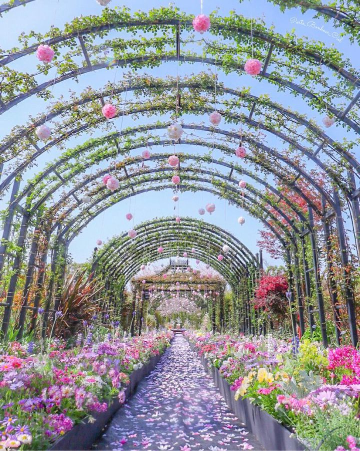 RETRIP＜公式＞ on Twitter: "デートにおすすめ！関東地方の「5～7月が見頃」な花畑スポットまとめ💕 https://rtrp.jp/articles/84372/"