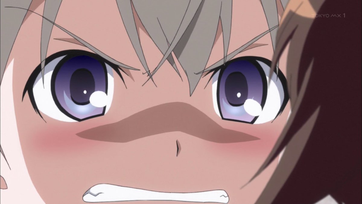 がめめぇ二等兵🐢🍆🧀 On Twitter 画像フォルダから左を向いてる画像と右を向いてる画像を戦わせろ にらめっこしましょ