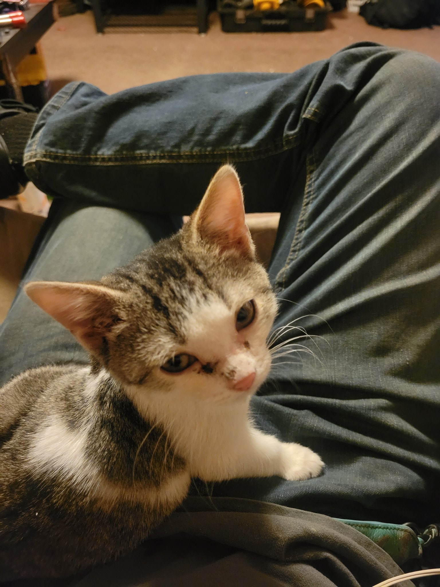 Dailyfanservice on Twitter: "@Caustic_Splicer https://t.co/aYTVi0AMQO" / Twitter