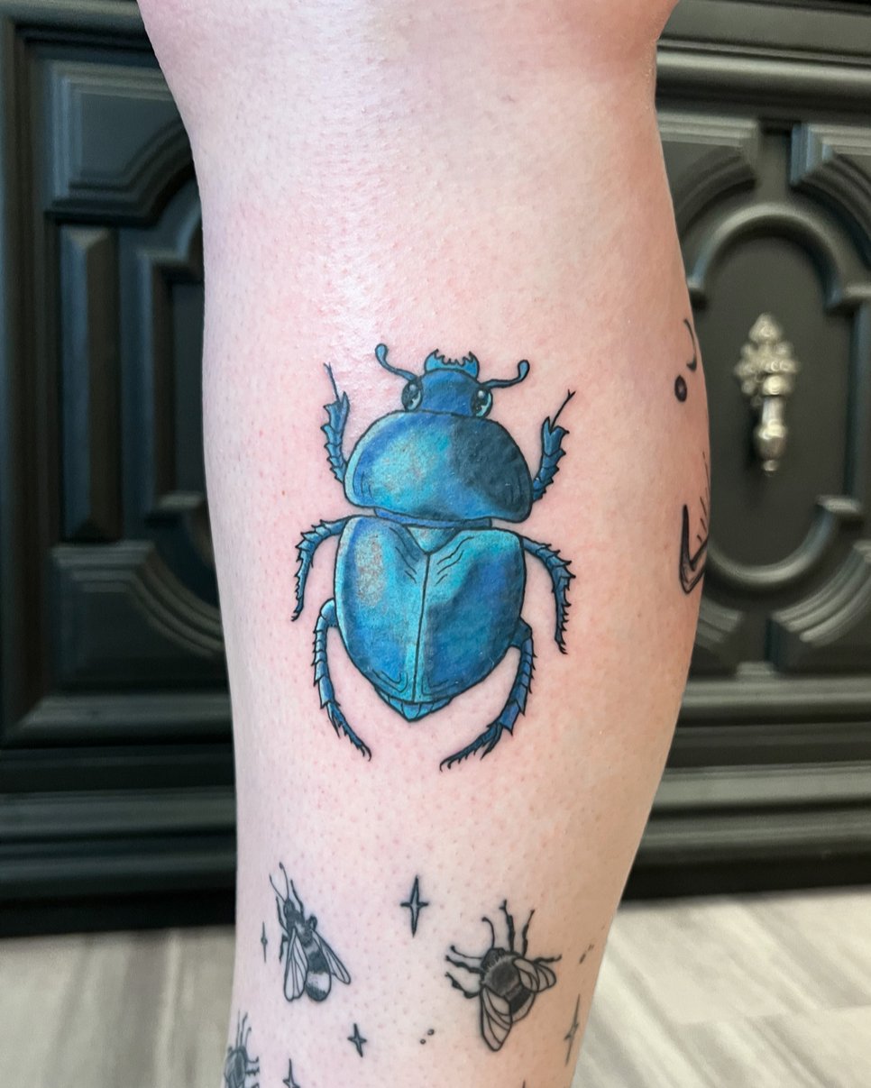 Scarab Beetle Tattoos Scarab Beetle Sketch Symbol Of Pharaoh