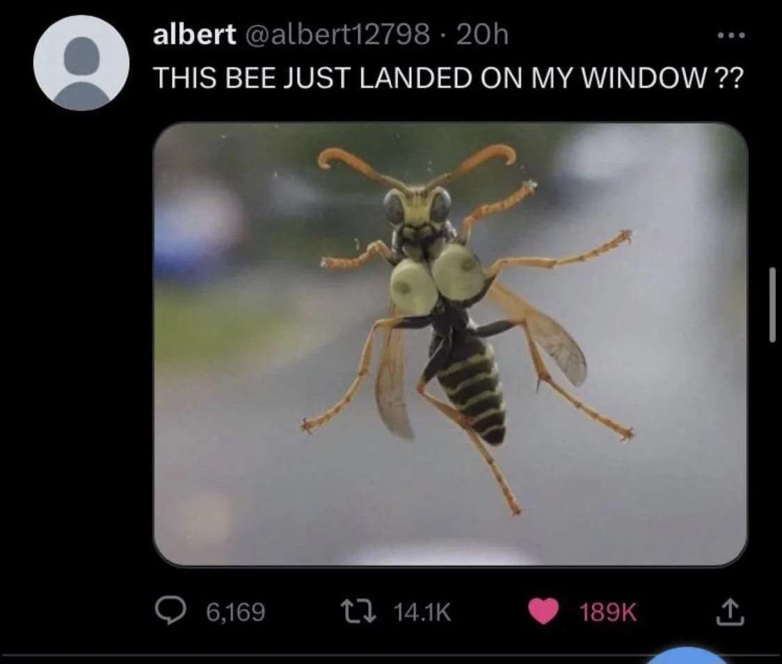 BAWS!🔞(COMMISSIONS OPEN (3 SLOTS AVAILABLE) on Twitter: "I dont think thats a bee"