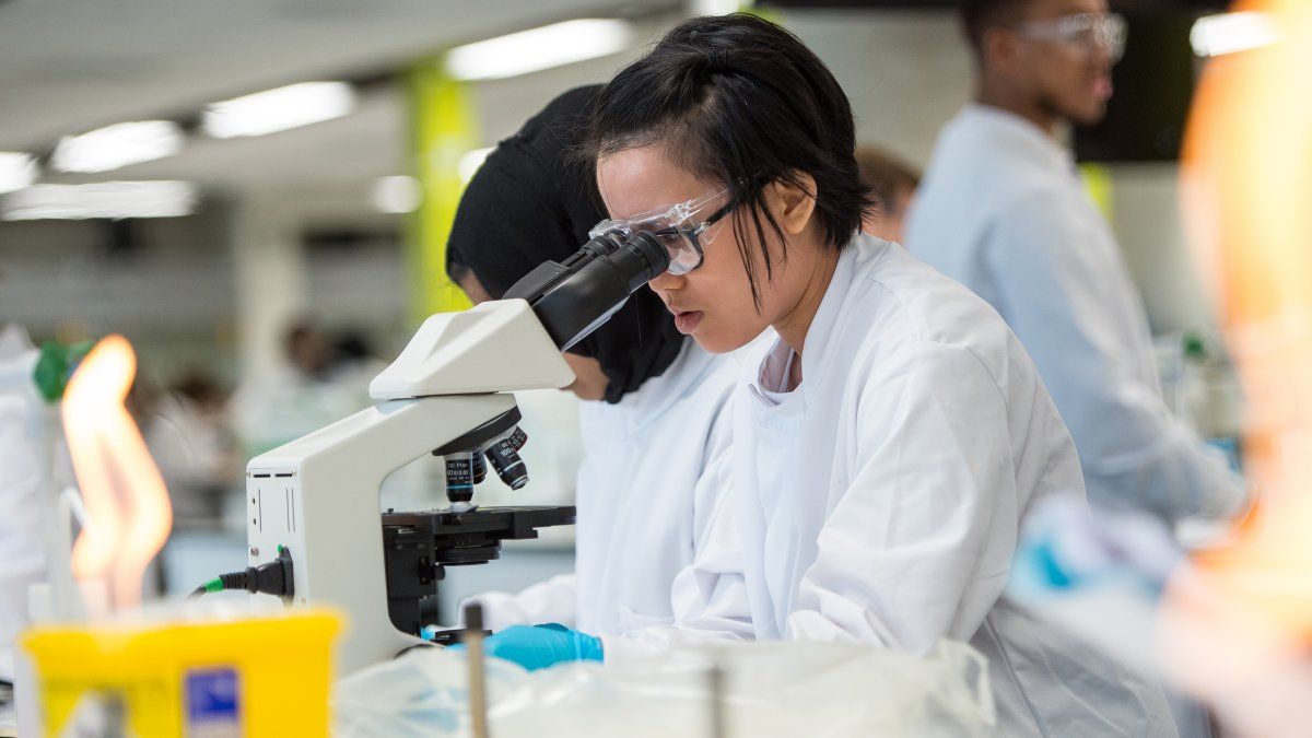 University of Surrey on Twitter: "Animal research has played a vital part in nearly every ...