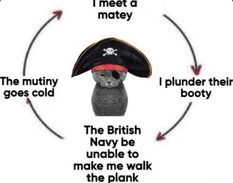 Matey Memes What Did The Pirate Say On His 80th Birthday? Aye Matey!