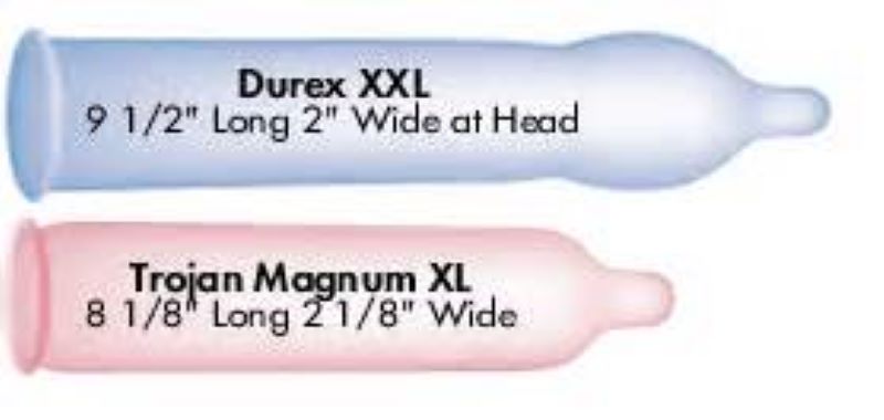 Cindy Freestone on Twitter: