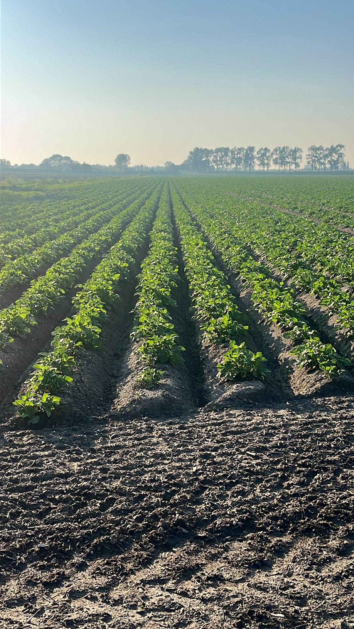 Alex Datema (@AlexDatema) / Twitter