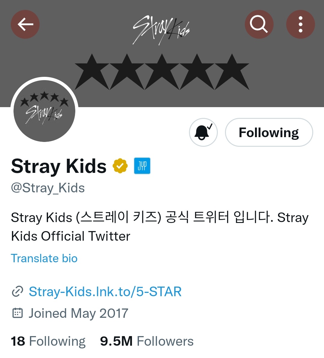 Stray Kids Chart Data on Twitter: "Stray Kids has surpassed 9,600,000 (9.6M) followers on ...