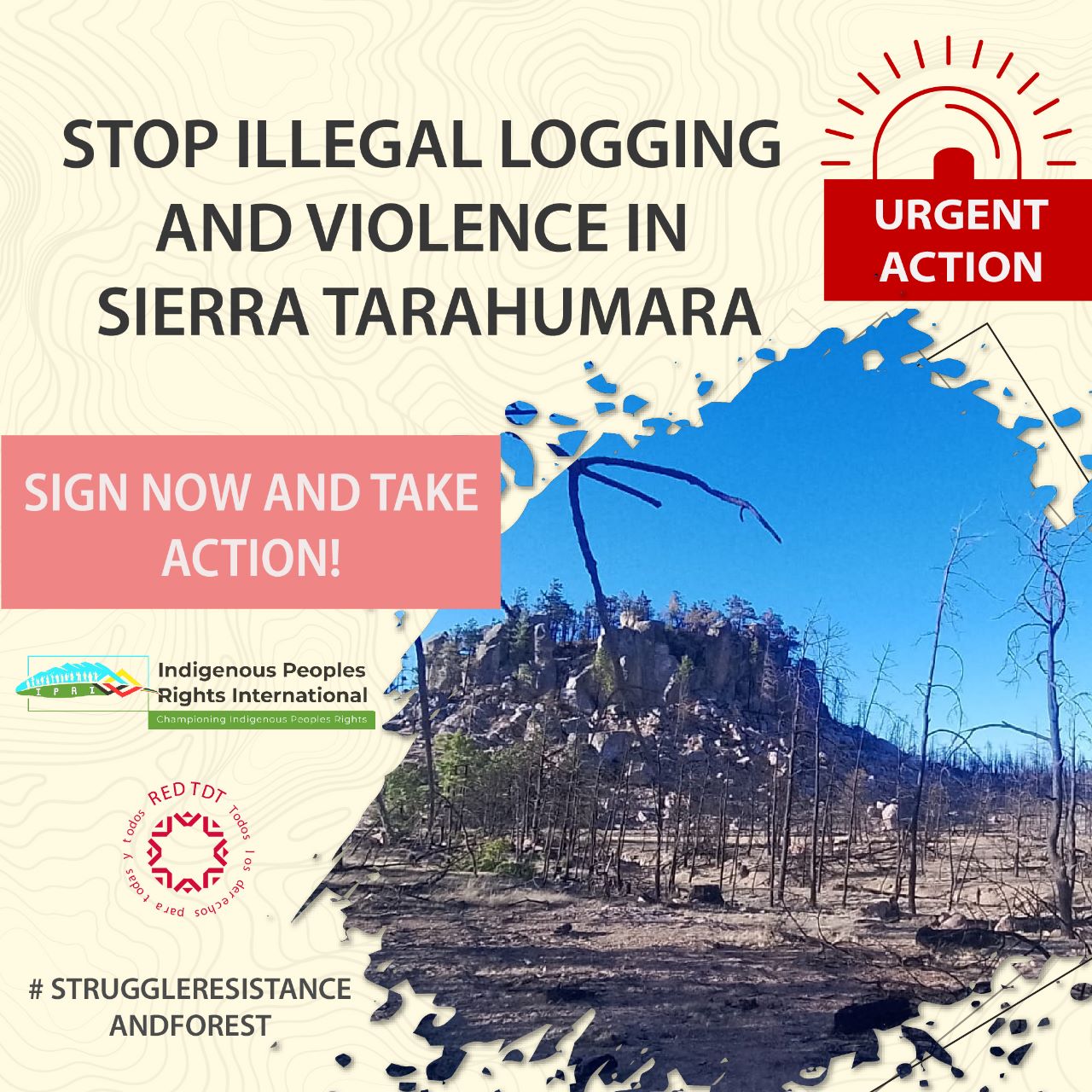 Illegal Logging Poster