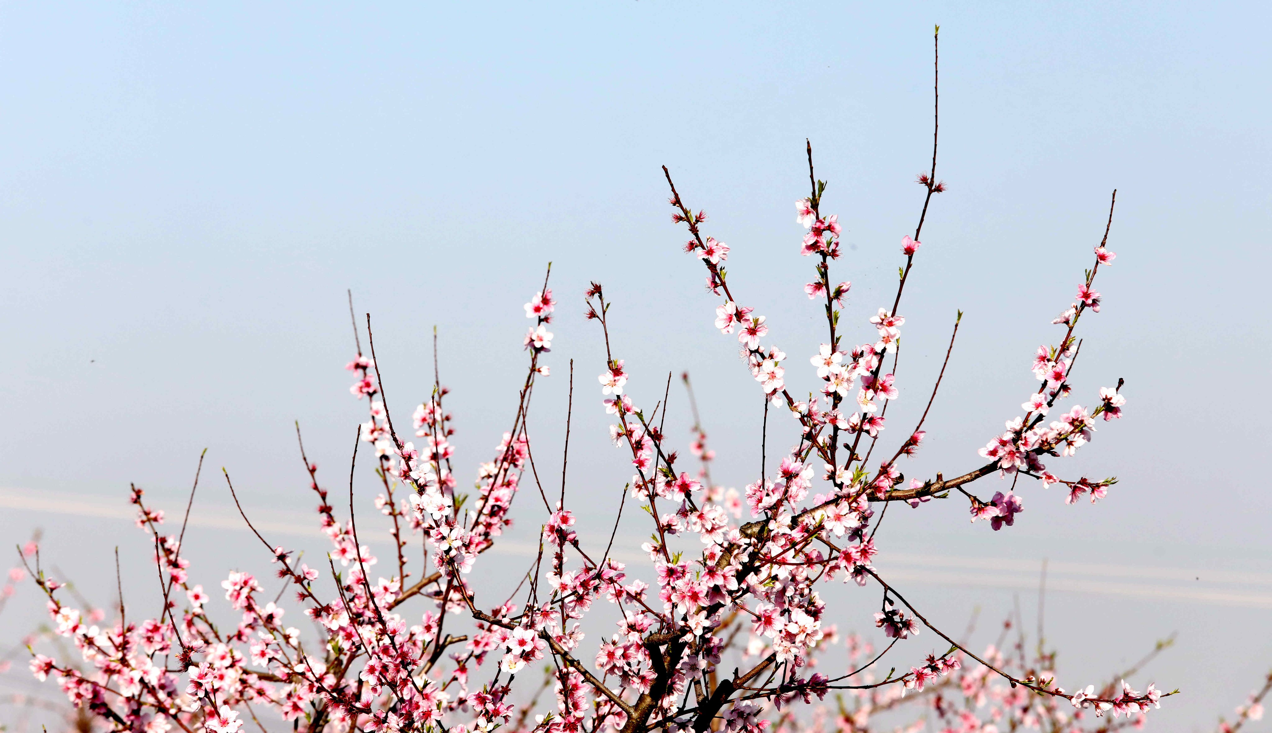 山水彭蠡 (@Jx_Pengli) / Twitter