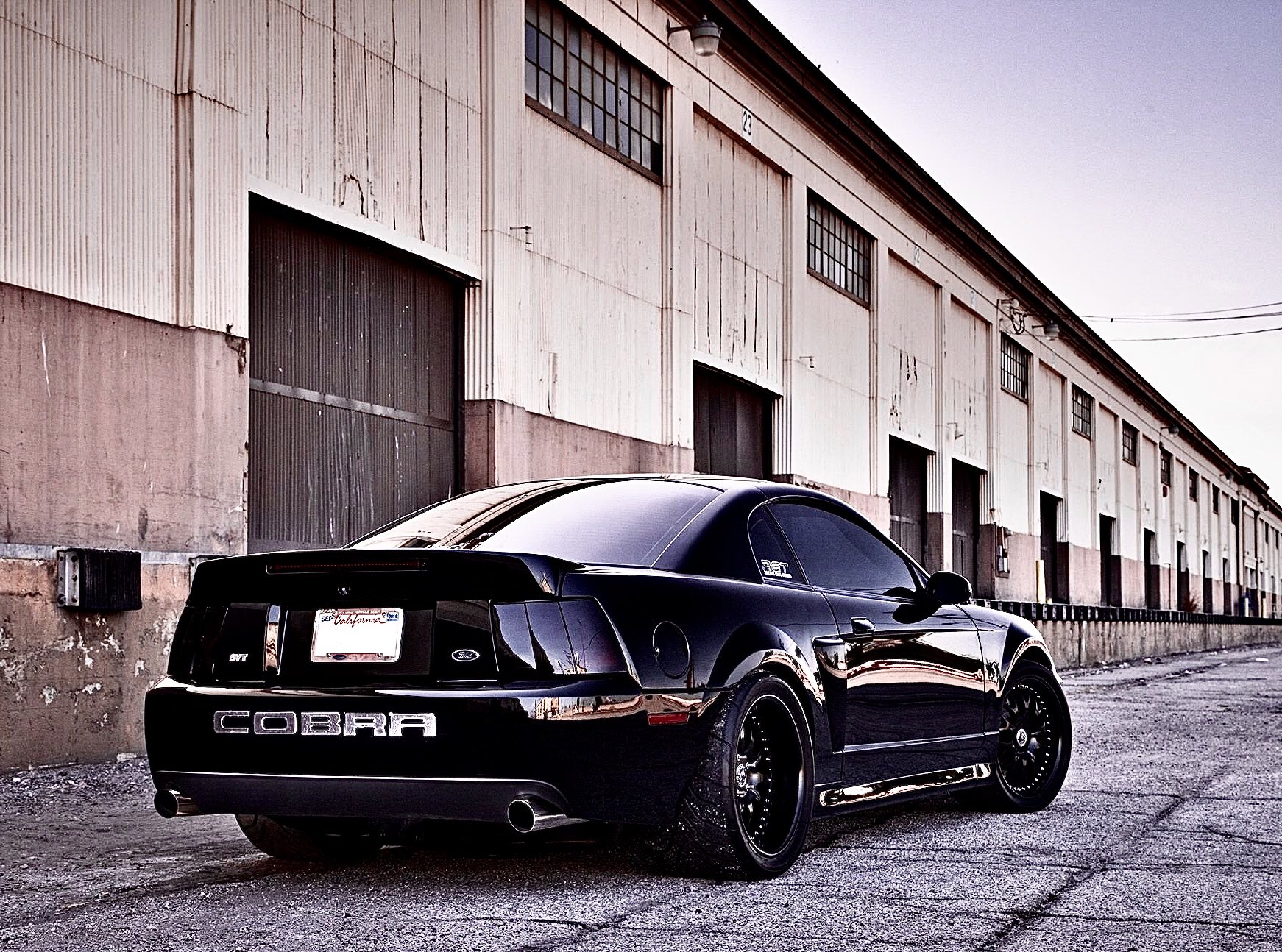 2004 Cobra Wallpaper 2004 Ford Mustang SVT Cobra Terminator Coupe