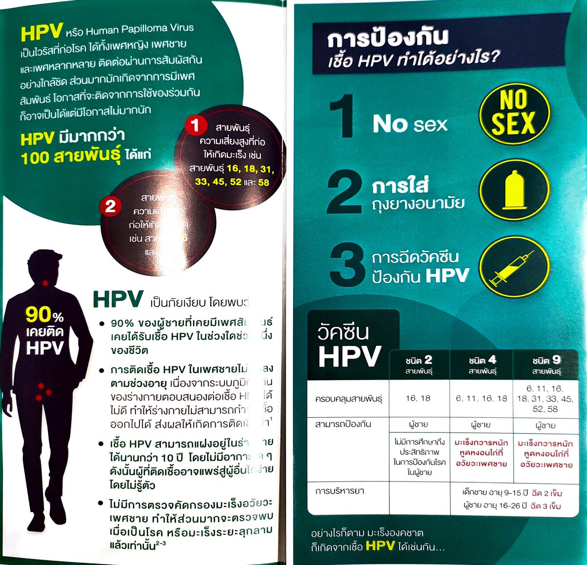 Pete Pittaya on Twitter: "ทำไมถึงให้ความสนใจเรื่อง HPV มาก..เพราะเชื้อ HPV แฝงอยู่ในร่างกายได้ ...