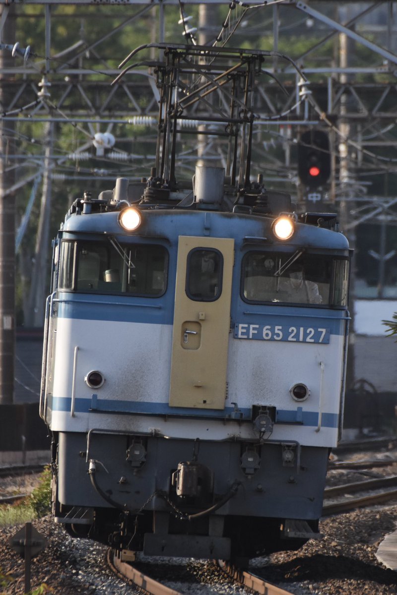 にしこく on Twitter: "2023/5/16 単8282レ EF65 2127 単機 EH500-46 OM入場 牽引機返却 ※単8282レ 東大宮操→新鶴見"