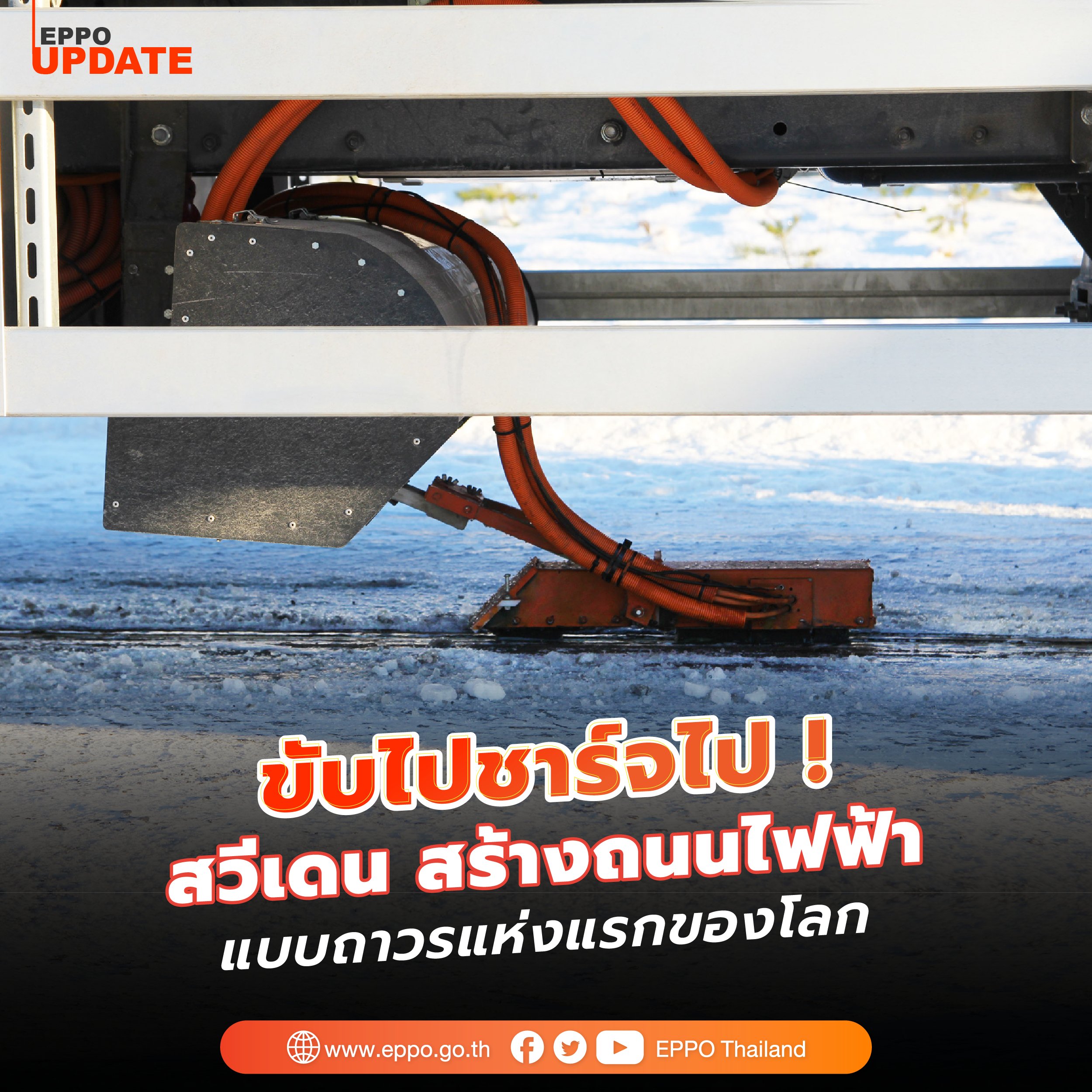 EPPO Thailand (@EppoThailand) / Twitter