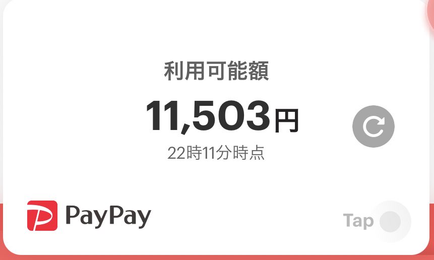 MIJUKUN on Twitter: "PayPayだいぶ増えた"