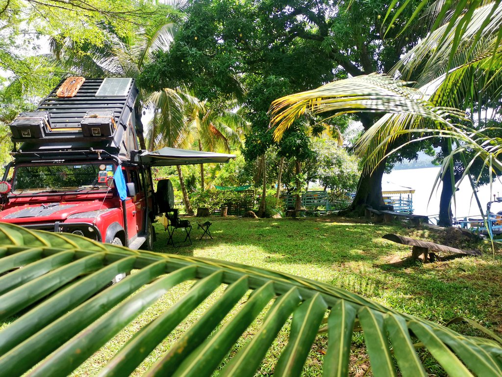 Stories from under the Mango tree 🌳 A #Thread.... 🧵 Finally left the ...