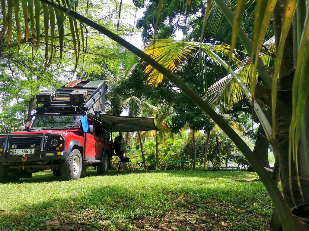Stories from under the Mango tree 🌳 A #Thread.... 🧵 Finally left the ...