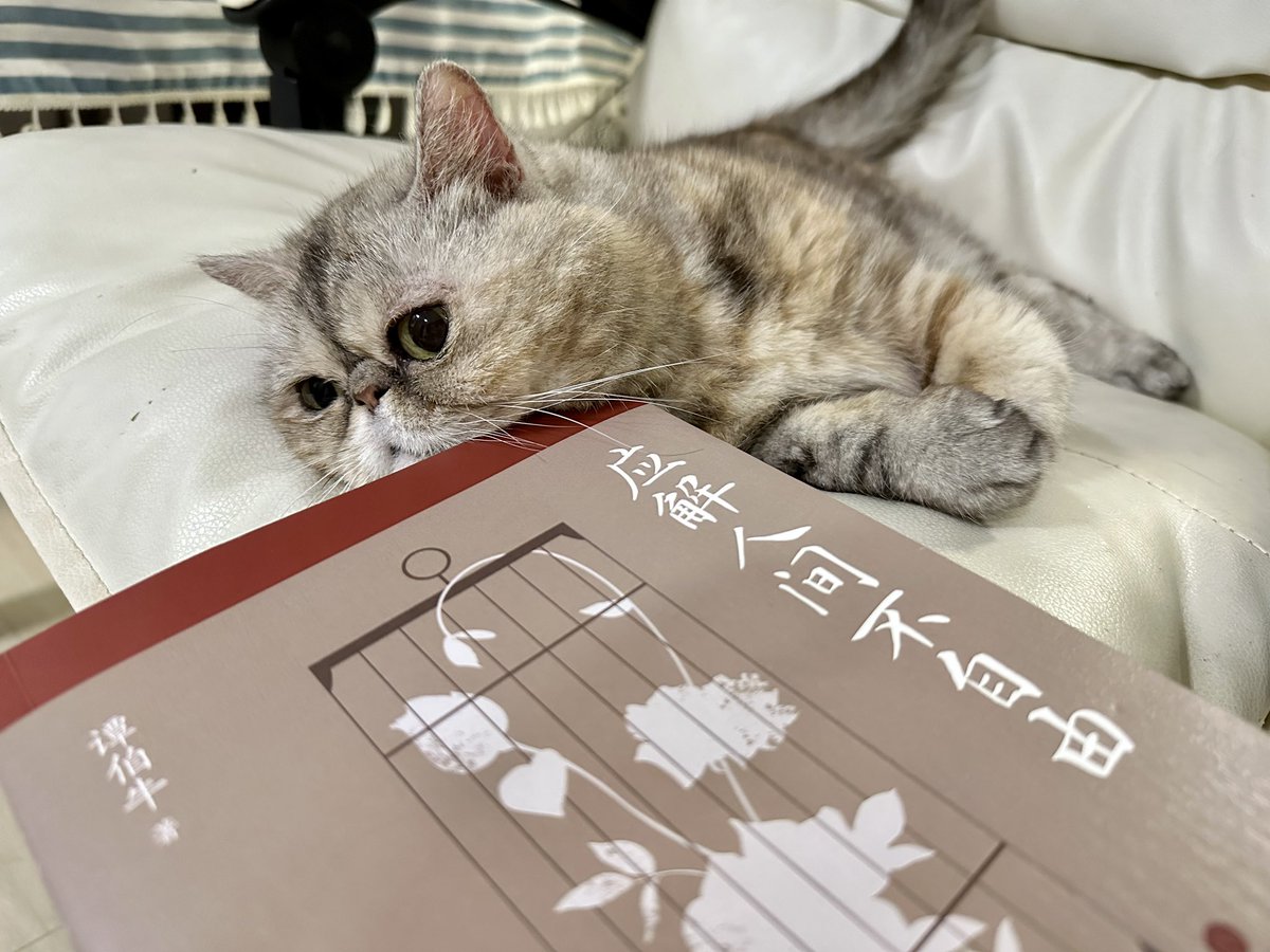 沈步摇 On Twitter 半夜被叫起來被迫營業做書模! 有沒有加班費的