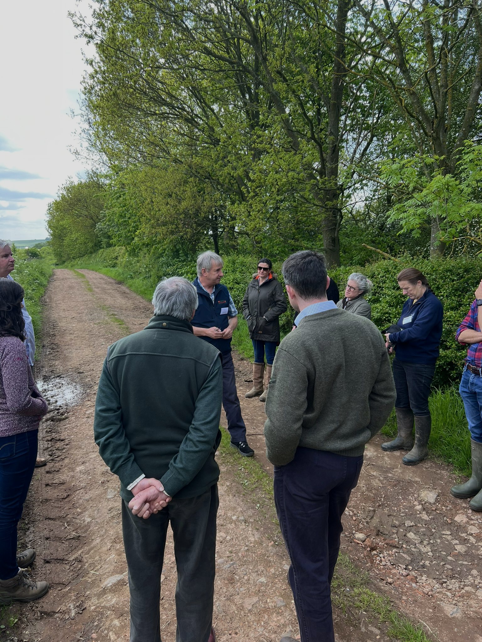 Alex Datema (@AlexDatema) / Twitter