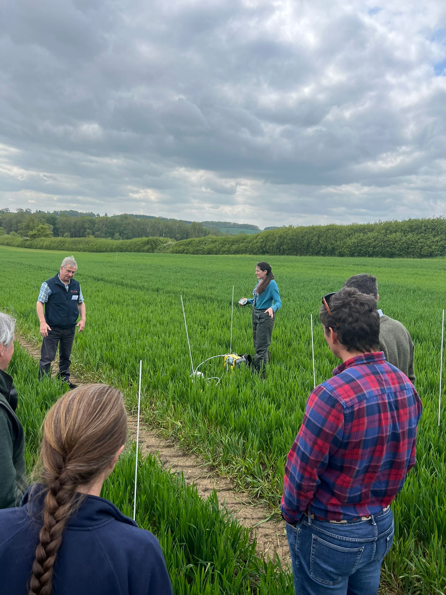 Alex Datema (@AlexDatema) / Twitter