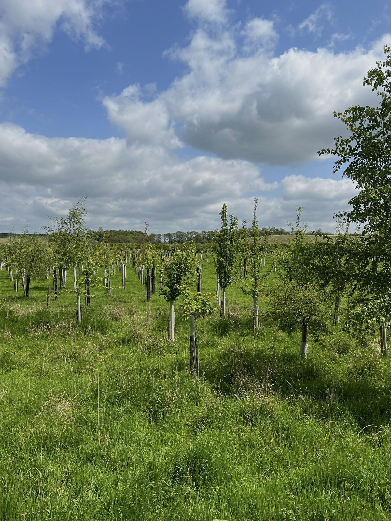 Alex Datema (@AlexDatema) / Twitter