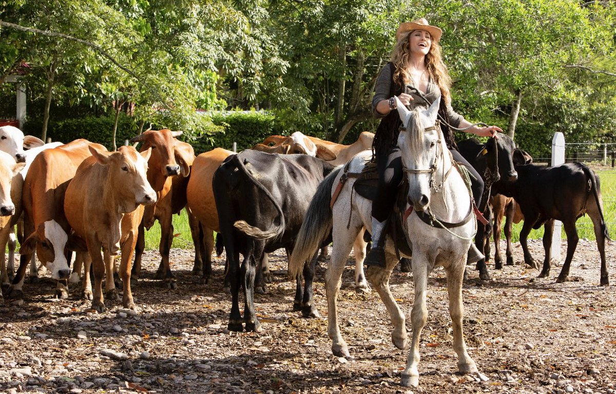 AuraCristinaGeithner on Twitter: "La Potra Zaina - Aura Cristina Geithner Video oficial https ...