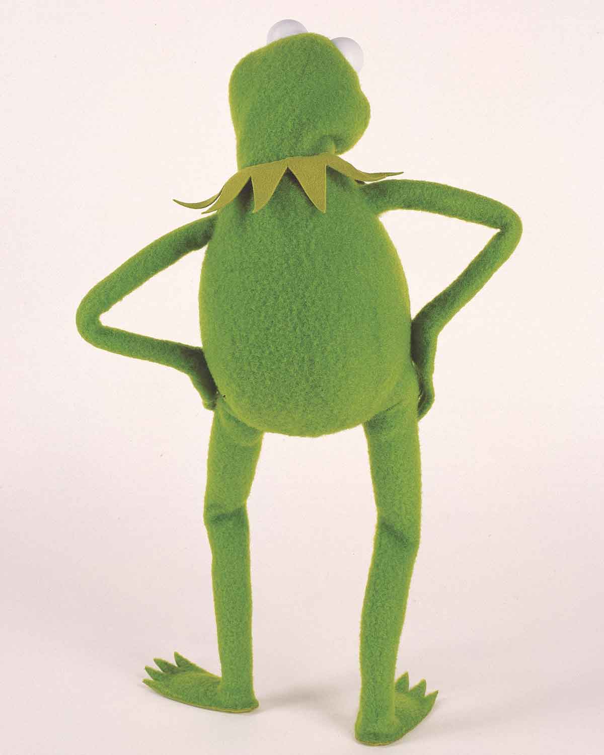 Kermit The Frog Standing