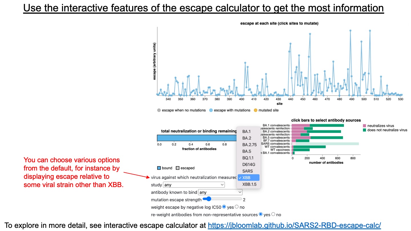 Bloom Lab on Twitter: "I’ve created new SARS-CoV-2 antibody escape calculator (https://t.co ...