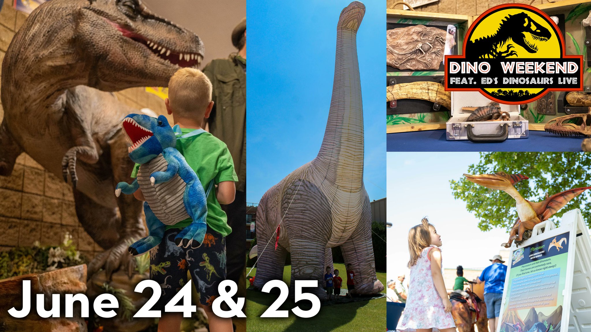 South Bend Cubs on Twitter: "Dino Weekend > Dino Day Dino Day has been extended into Dino ...