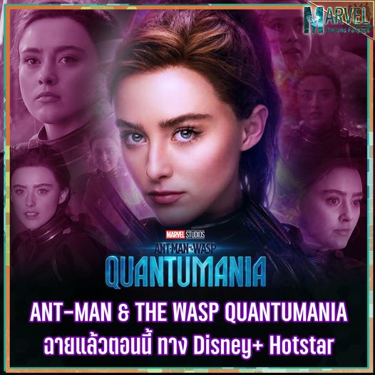MarvelThaiFan on Twitter: "Ant-Man & The Wasp Quantumania ฉายแล้วตอนนี้ ทาง Disney+ Hotstar ...