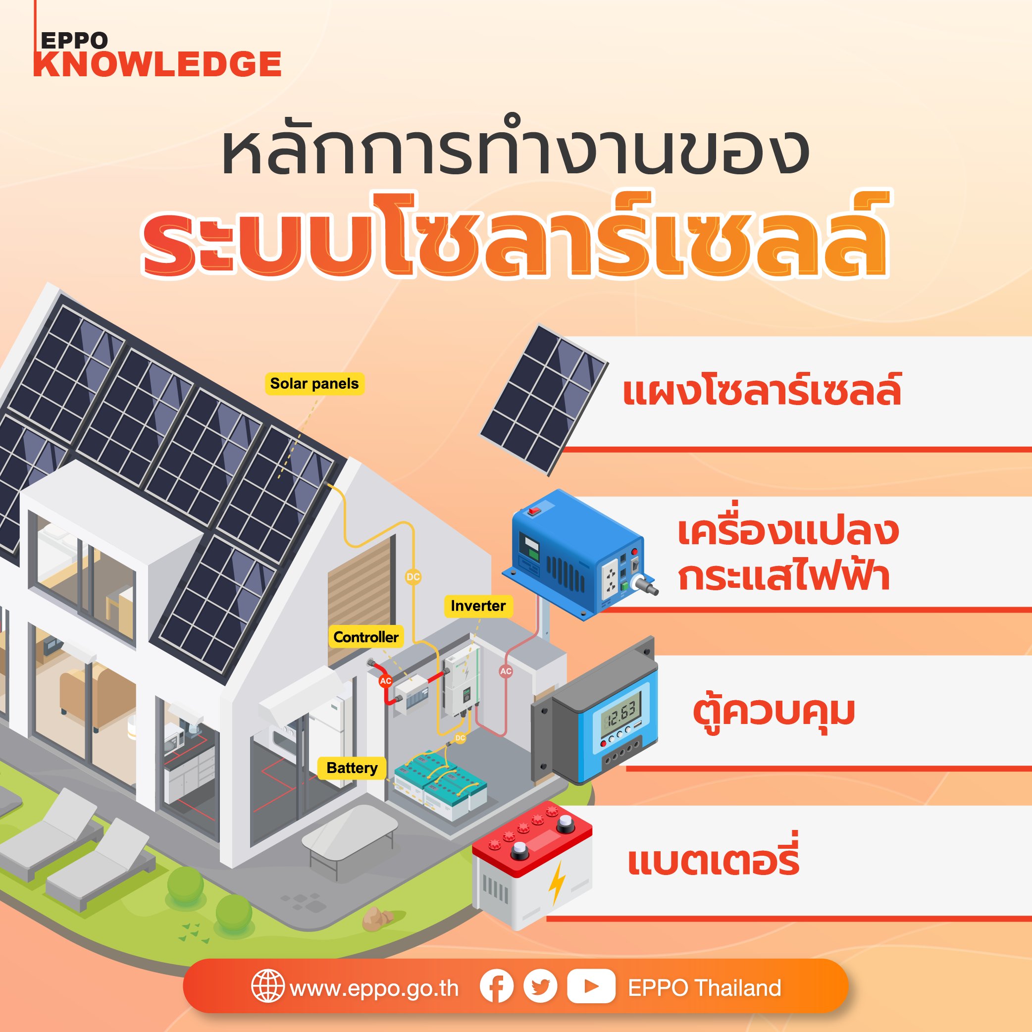 EPPO Thailand (@EppoThailand) / Twitter