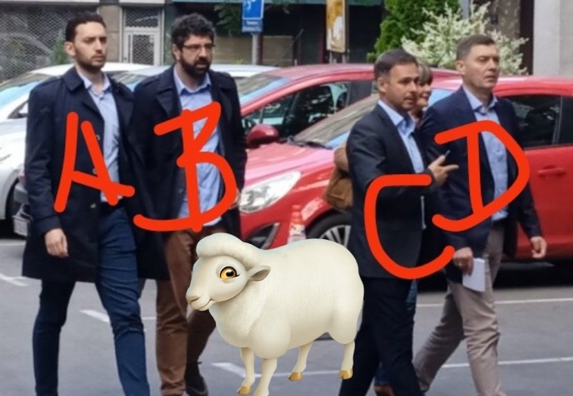 Bodljikava 🇷🇸 on Twitter: "Hipotetičko pitanje, imaš ovcu i moraš da je ostaviš nekom na čuvanje ...