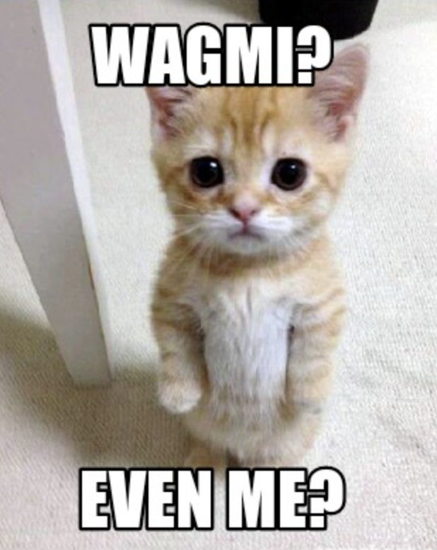 Angry Cat Meme Yes