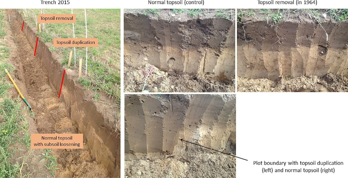 Geoderma - the global #OA journal of soil science on Twitter: "New in Geoderma: "Fast ...