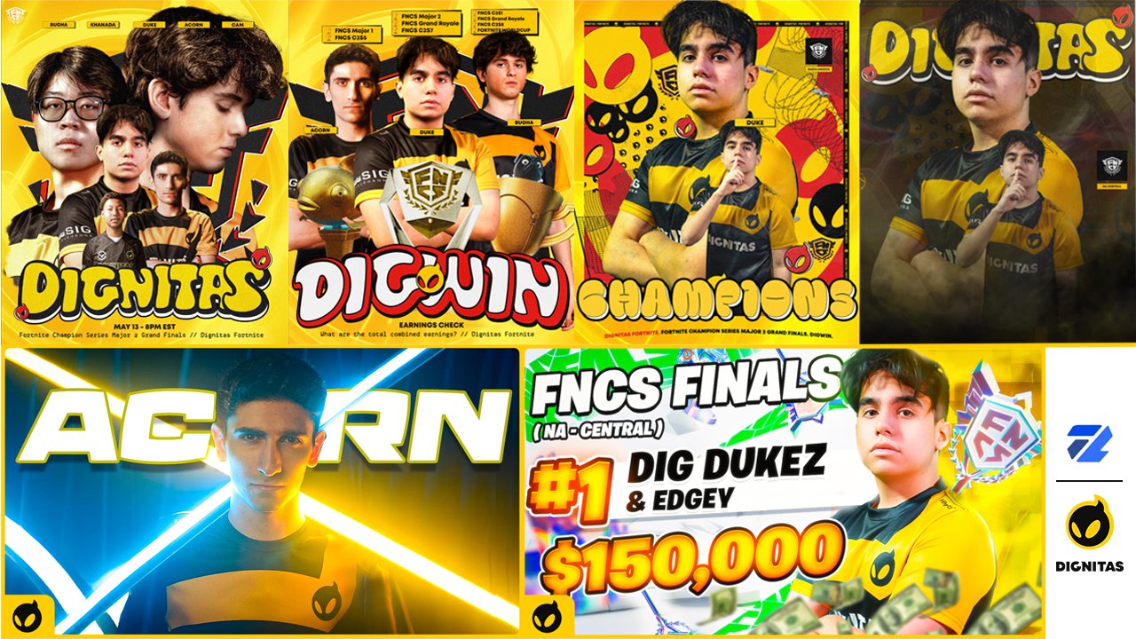 Zee💤 on Twitter: "FNCS Work For @dignitas🎨🏆 Support Is Very much Appreciated ♥️ + ♻️ = 🐐 Check ...