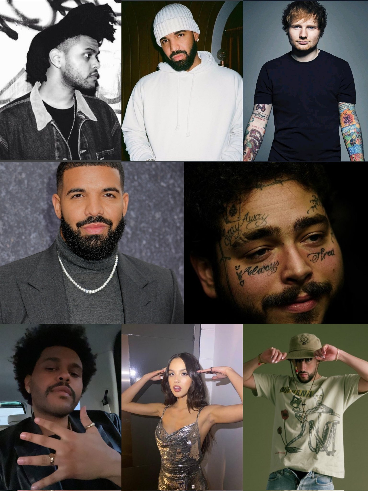 Drake Collage 2022