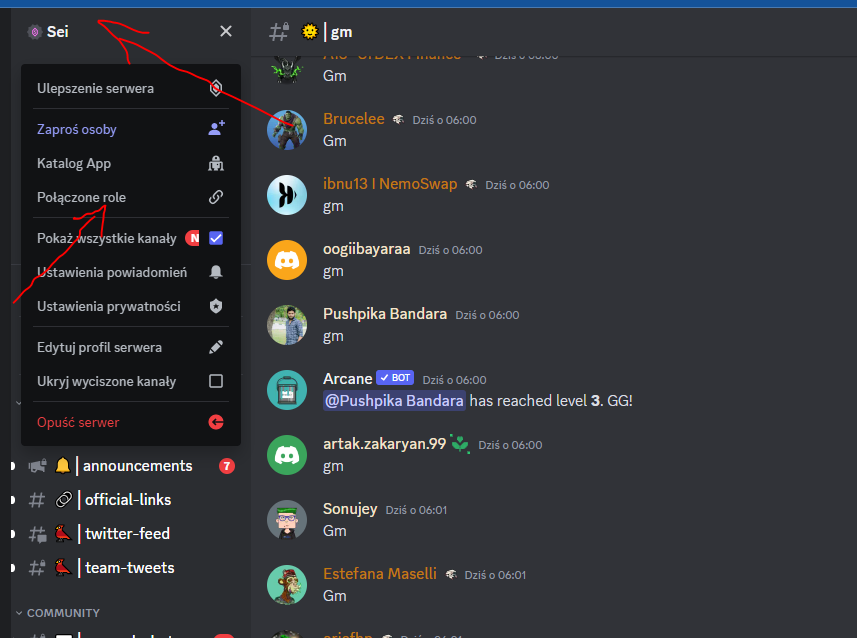 Mikolaj Tomczak 🛸 on Twitter: "2/ Parę osób pytało, jak zrobić weryfikację na Discord: 👉 http ...