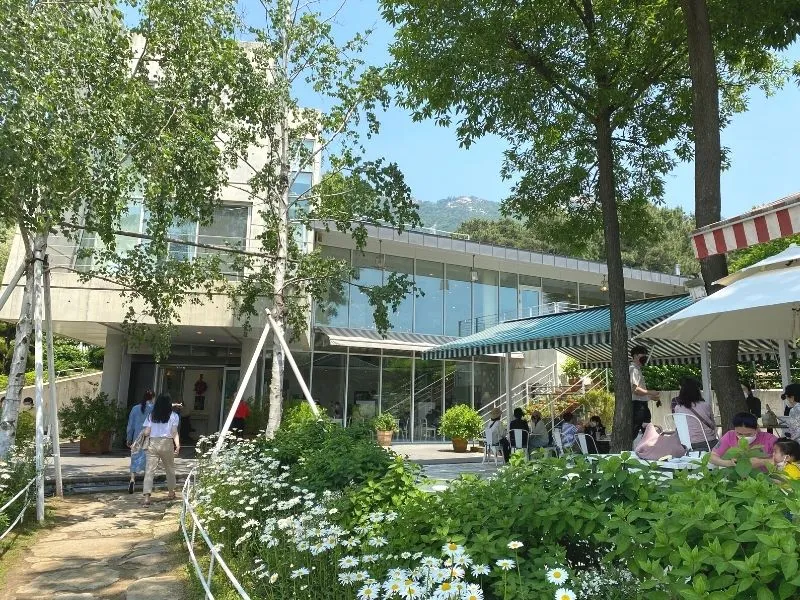 クリエイトリップ 韓国情報 on Twitter: "《#韓国カフェ》 これから渡韓する方おすすめ☕ 江華島『Dore Dore』 ️ お花畑で有名な仁川のDore Dore☺️今デイジーが ...