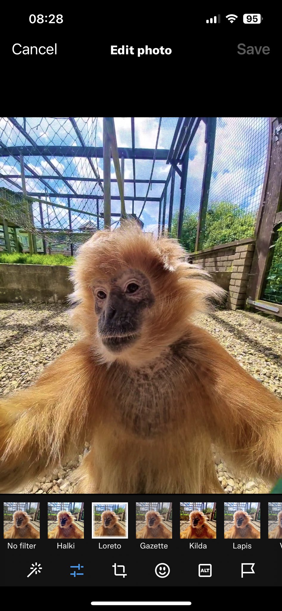 Sick Monkey Memes Baby Monkey Kuku Taking Care Of Sick Mimi YouTube