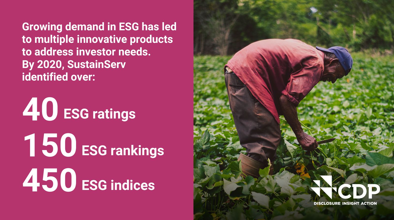 CDP on Twitter: "https://t.co/fkxPPDppFT Policymakers are increasingly exploring ESG ratings and ...