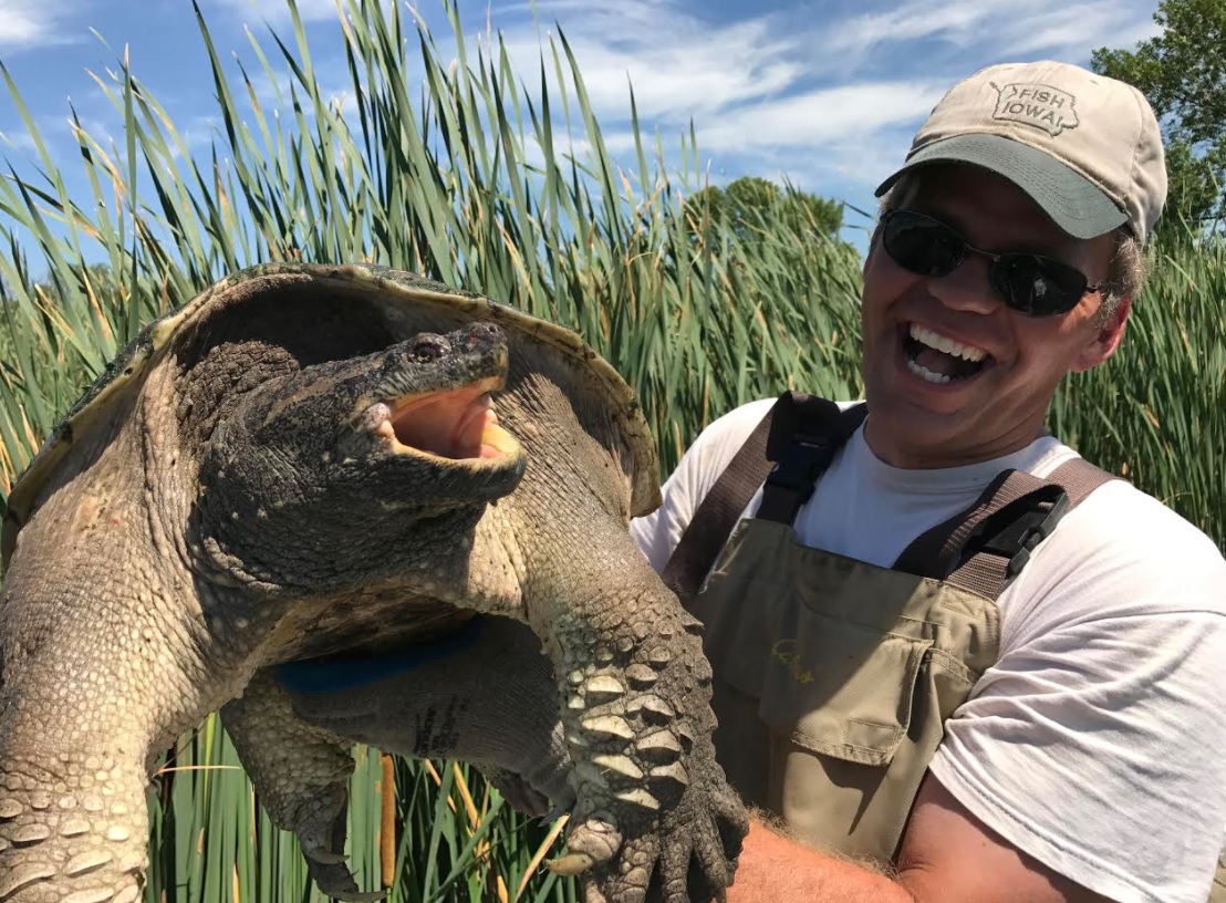 Giant Snapping Turtle