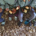 Welcome to Benthal Primary School